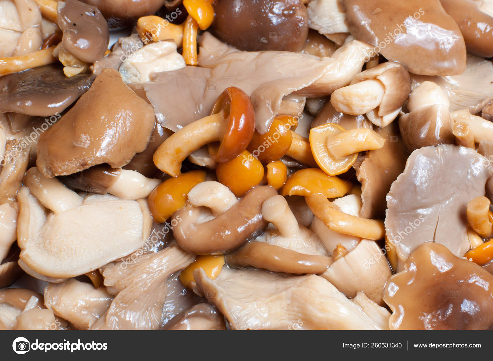 Assortment Various Mushrooms Diced Pickled Stock Photo by ©YAYImages ...