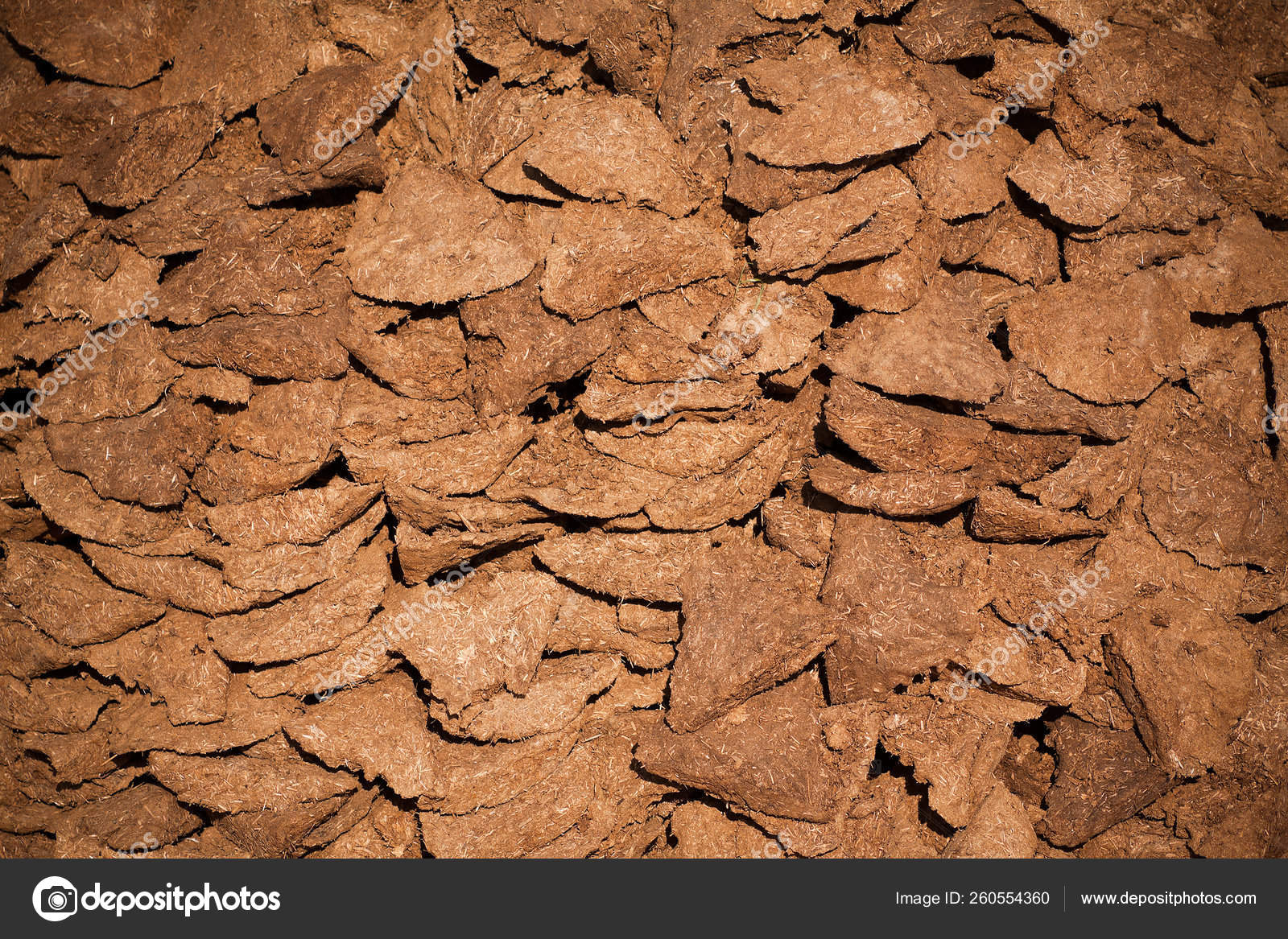 Collection Cow Buffalo Dung Cake — Stock Photo © YAYImages #260554360