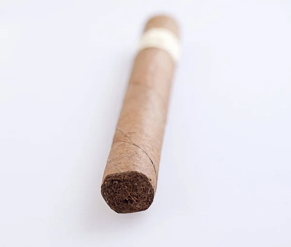 Cigar Isolated White Background White Background — Stock Photo ...