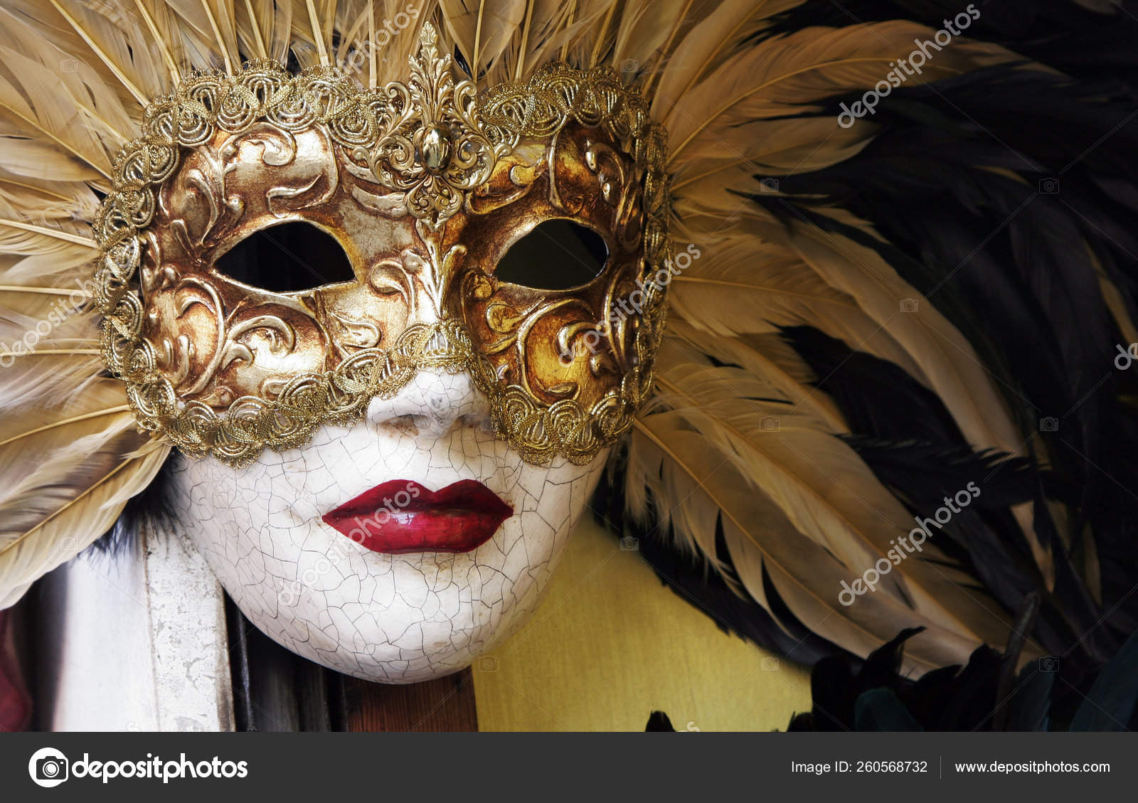 Carnival Masks With Feathers