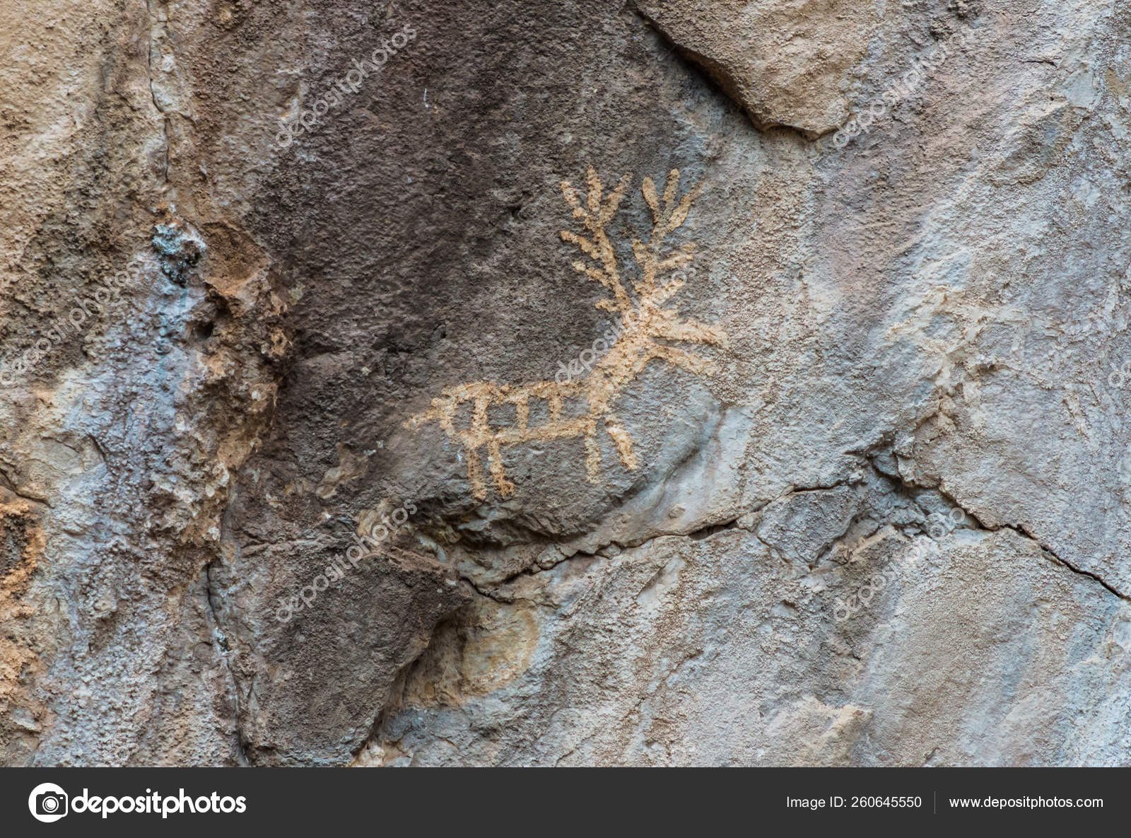 Lipci Montenegro March 2016 Prehistoric Drawings Deer Lipci Rock ...