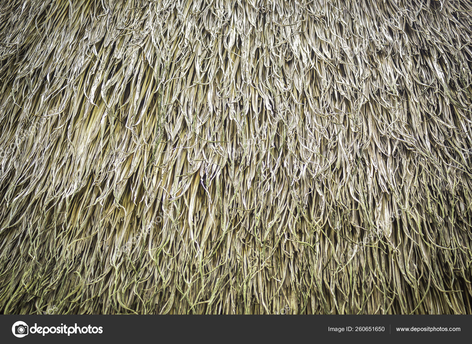 Texture Pattern Grasses Thatch Roof Stock Photo by ©YAYImages 260651650