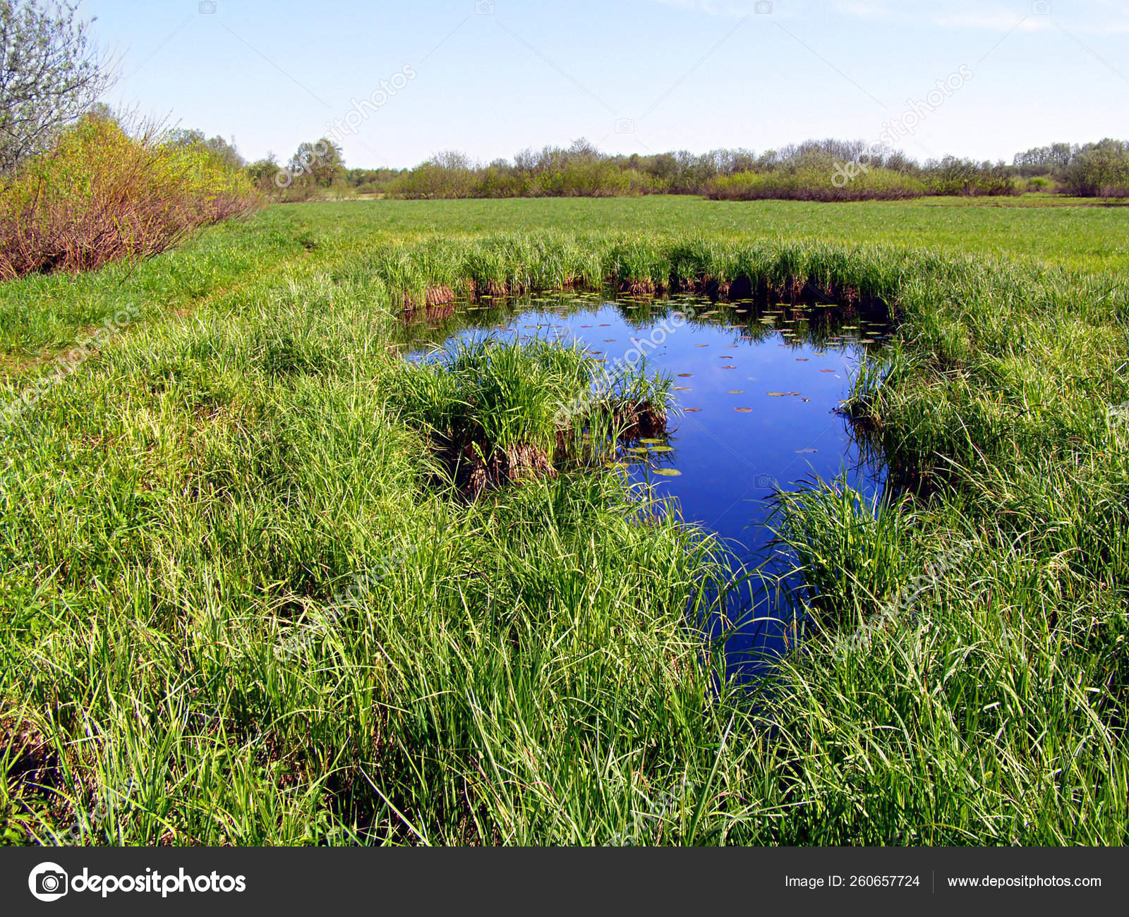Small Lake Field Stock Photo by ©YAYImages 260657724