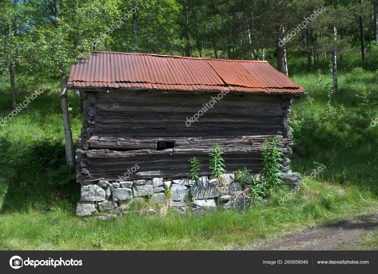 Old Building Green Forest Stock Photo by ©YAYImages 260659046