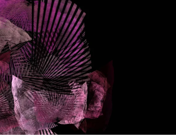 11 Abstract purple shell patterns Stock Photos, Abstract purple shell ...