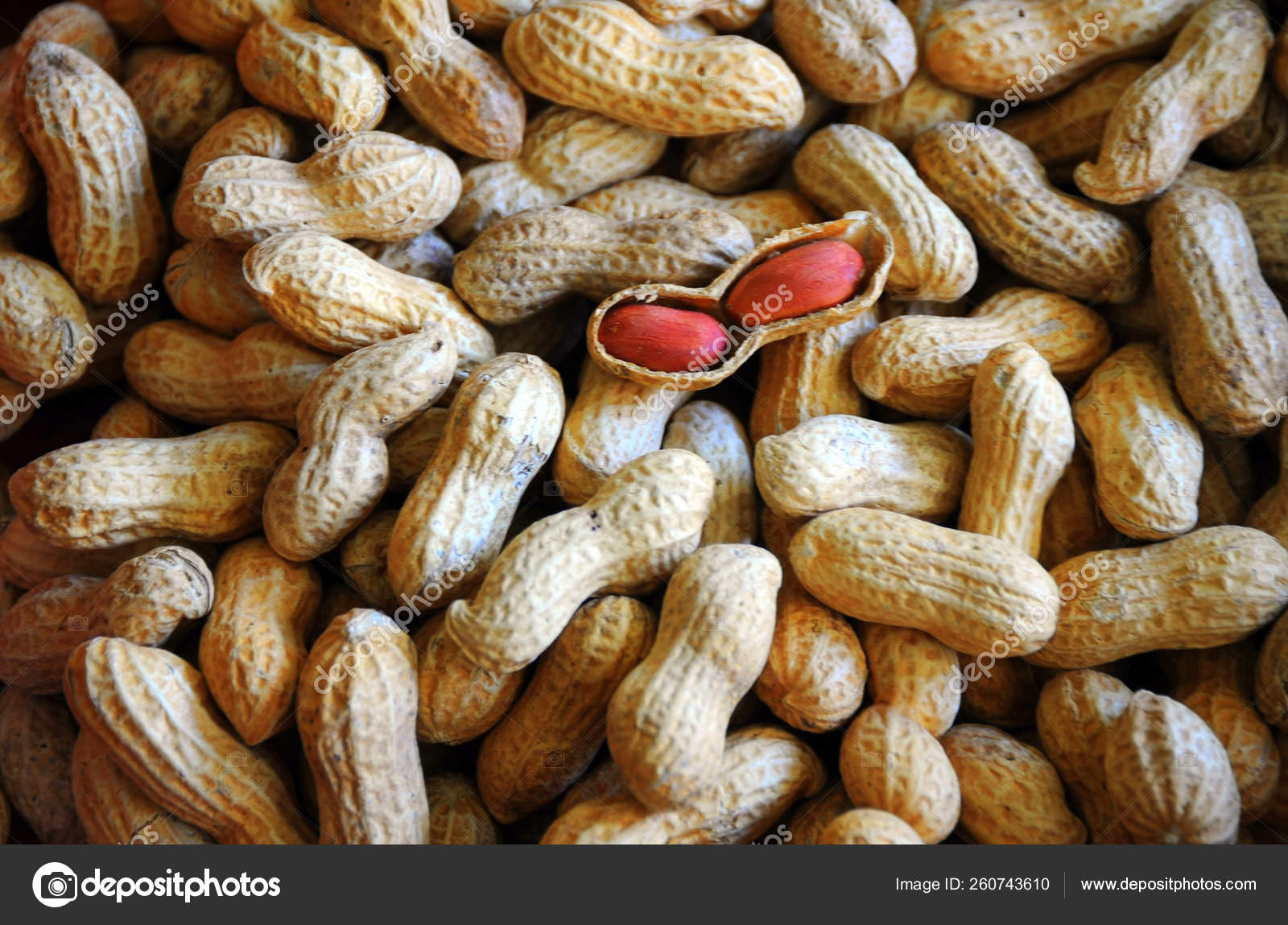 Close Peanuts One Shell Open Stock Photo by ©YAYImages 260743610