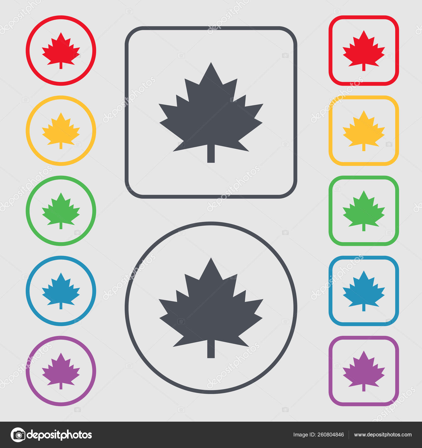 Maple Leaf Icon Symbols Square Buttons Frame Illustration Stock Photo ...