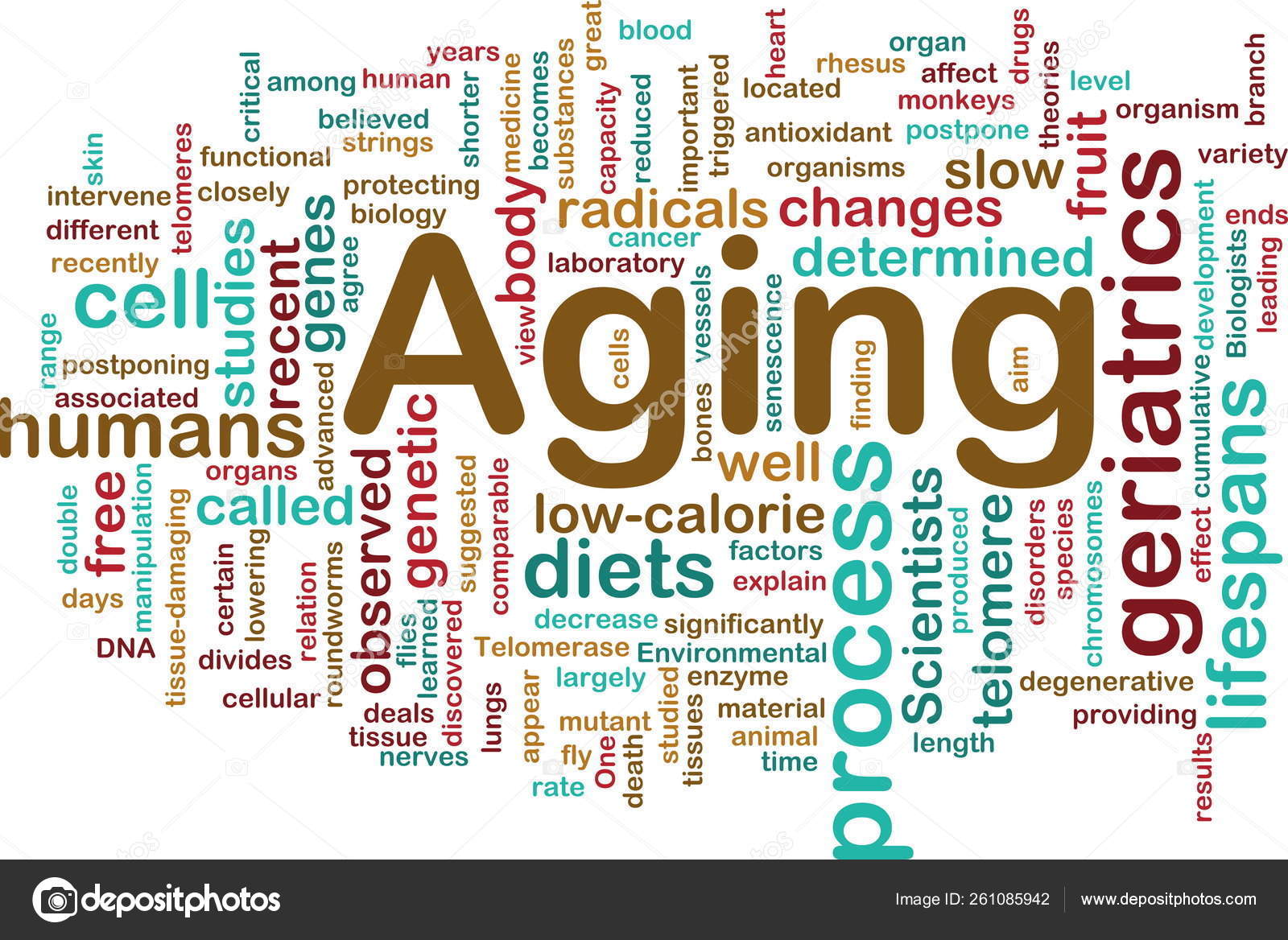 Word Cloud Concept Illustration Age Aging Stock Photo by ©YAYImages ...