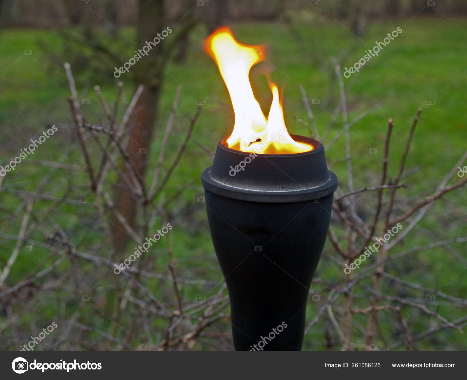 Burning Tiki Torch Fire Flame Blurred Garden Background Stock Photo by ...