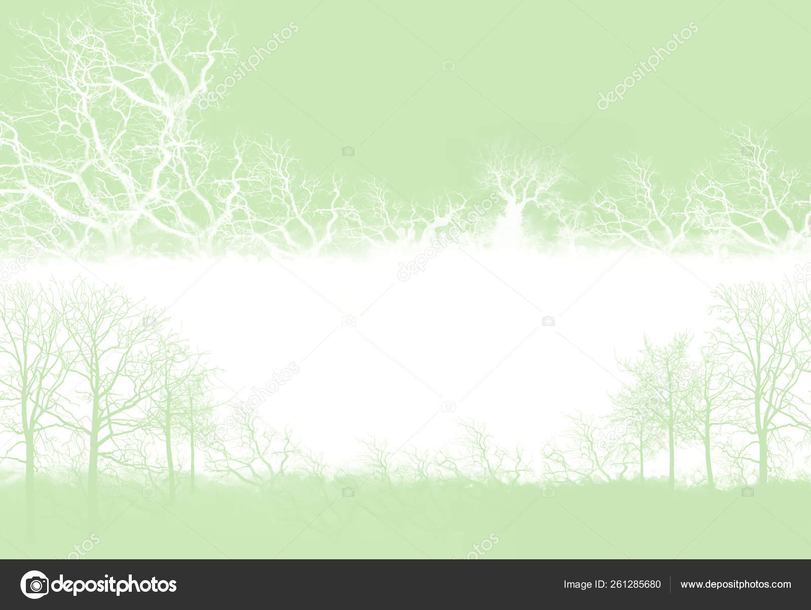 Tree Paper Texture Stock Photo by ©YAYImages 261285680