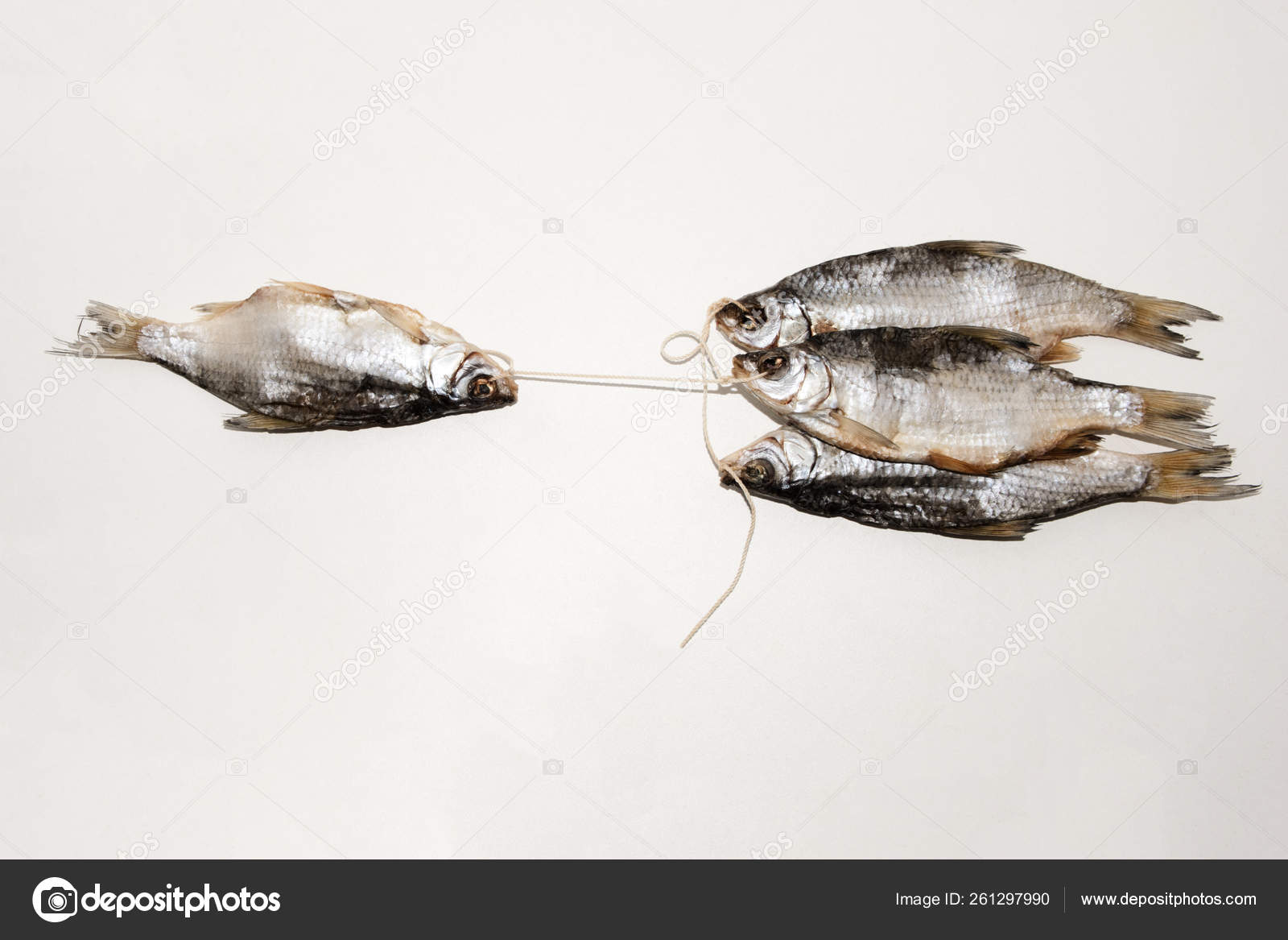 Dried Fish Table Salty Dry River Fish White Background Dead Stock Photo ...