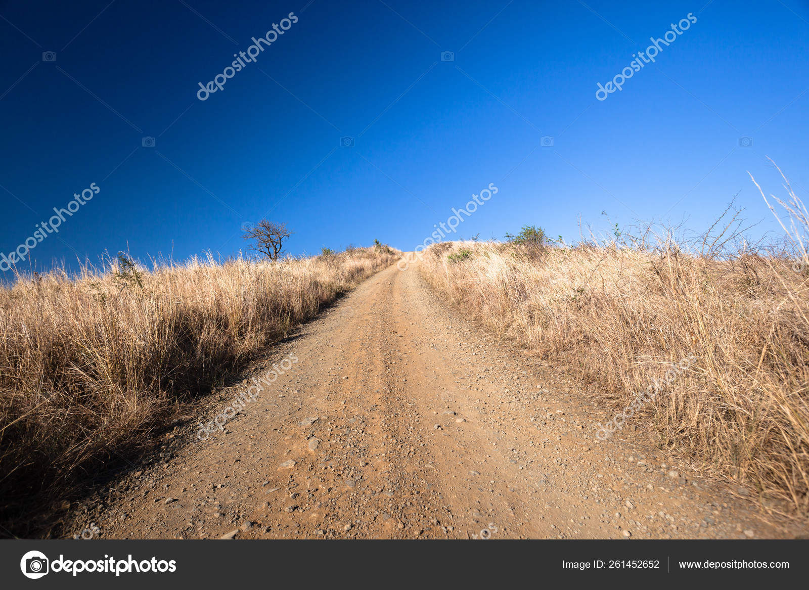 Camino Tierra Reserva Parque Escalada Colina Empinada Distante Través ...