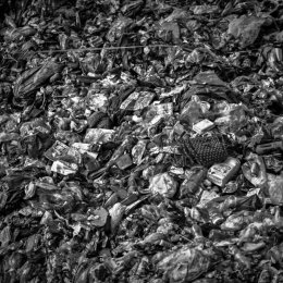 54 Biochar Vector Images | Depositphotos