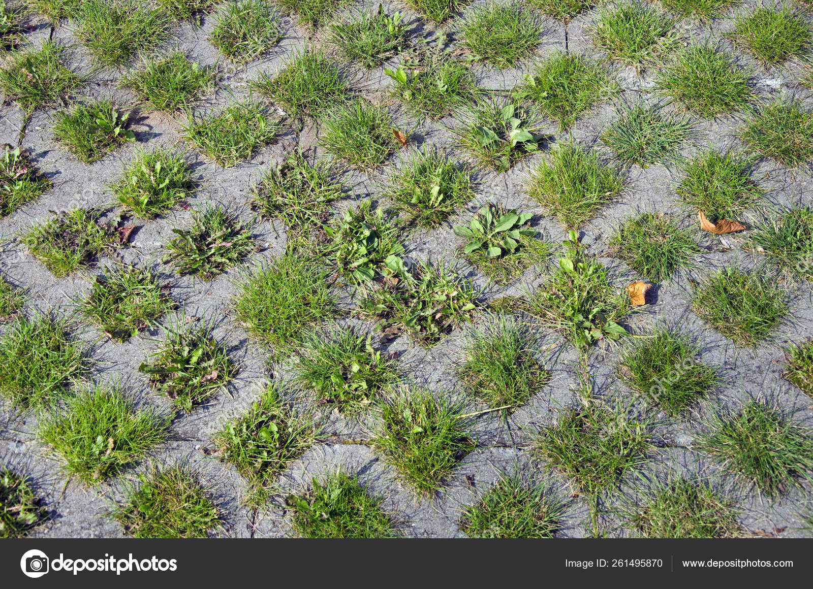 Concrete Grass Pavement Architecture Background Stock Photo by ...