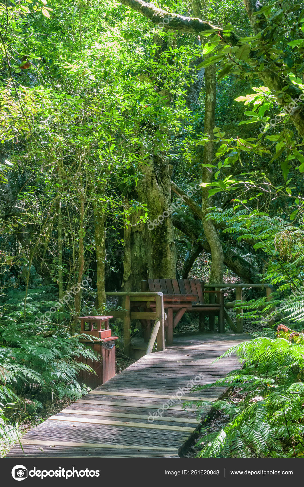 Rustic Corner Garden Eden Network Boardwalk Trails Tsitsikama Forest ...