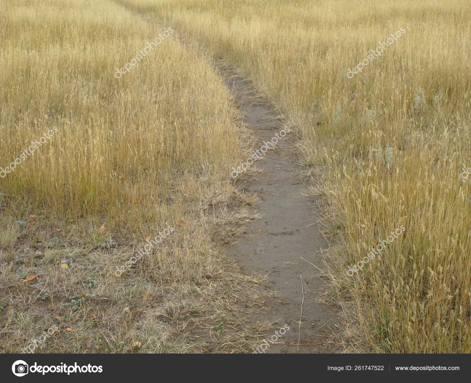 Foot Path Grassland American West Stock Photo by ©YAYImages 261747522