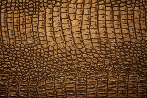 Seamless Natural Crocodile Skin Texture Stock Photo by ©YAYImages 257914042 Seamless Natural Crocodile Skin Texture Stock Photo by ©YAYImages 257914042