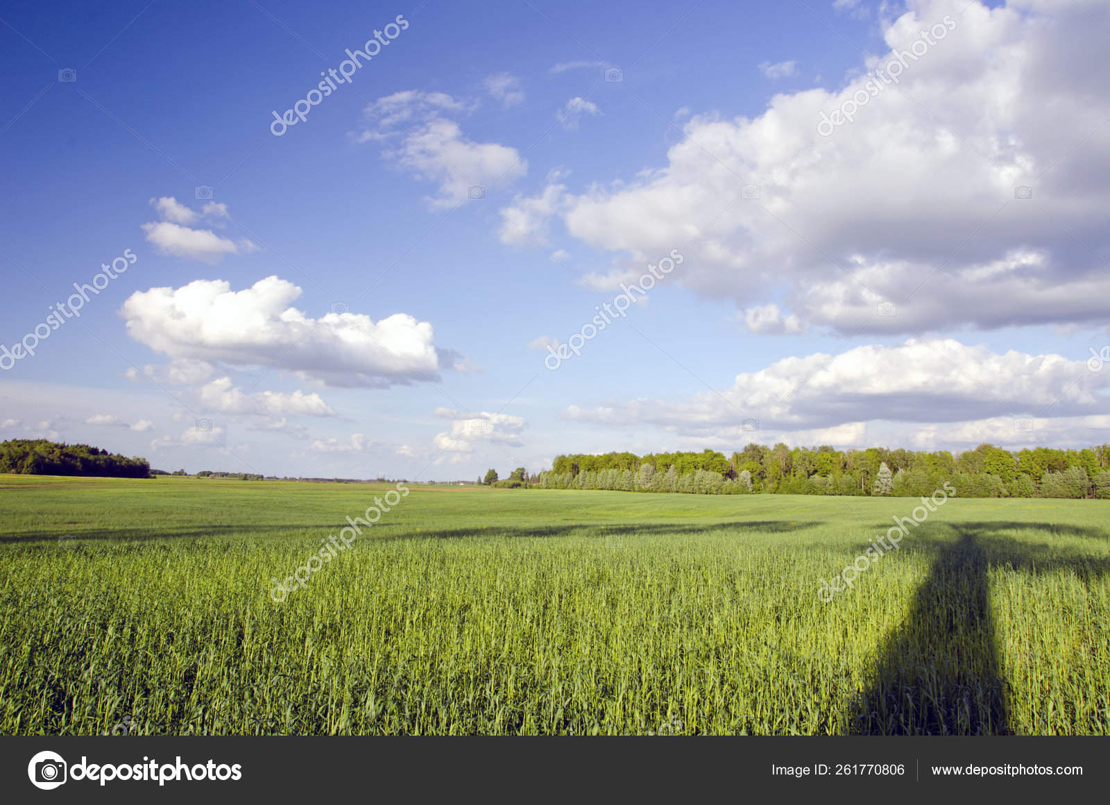 Huge Green Meadow Tree Shadow Forest Distance Cloudy Blue Sky Stock ...