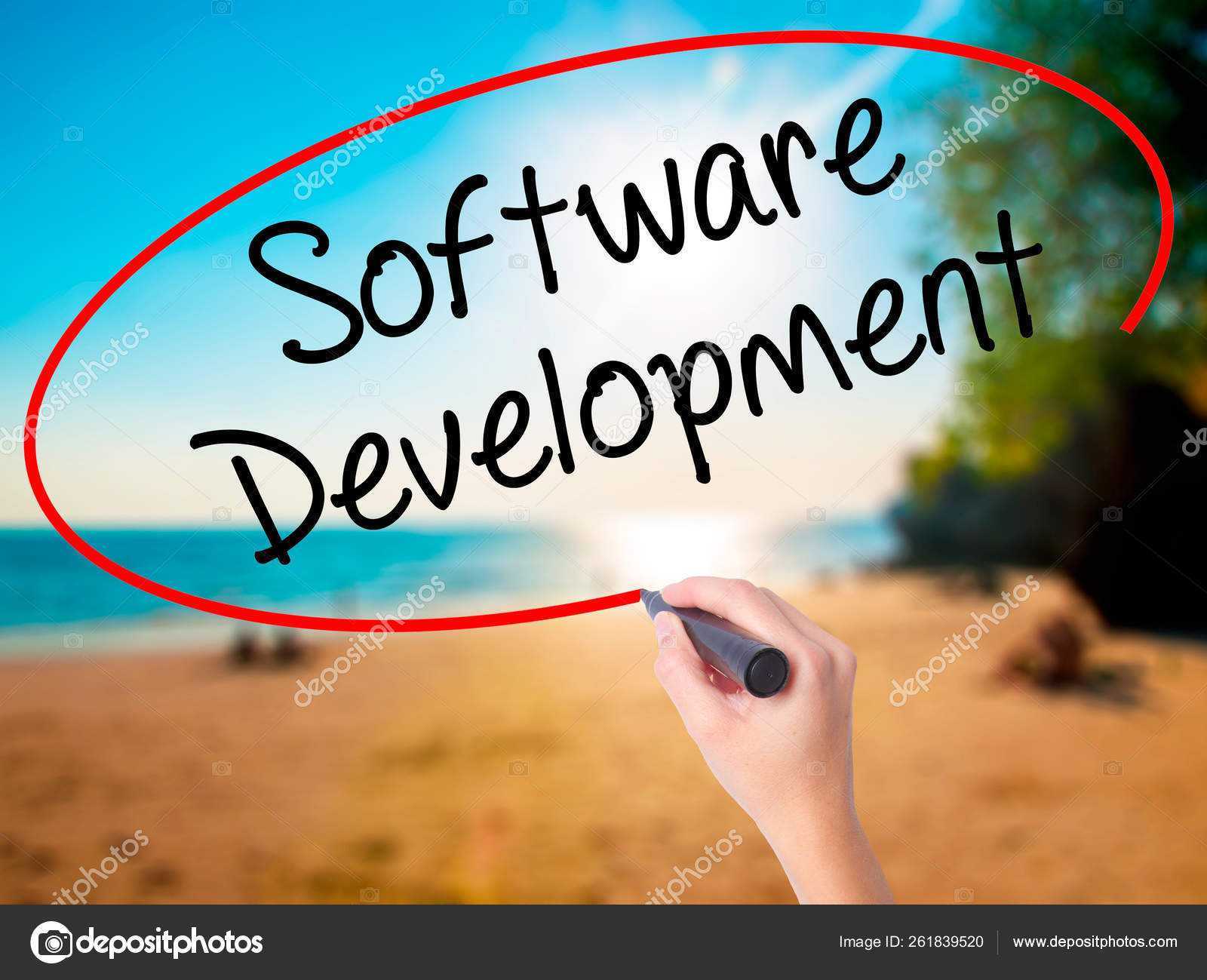 Women Hand Writing Software Development Black Marker Visual Screen ...