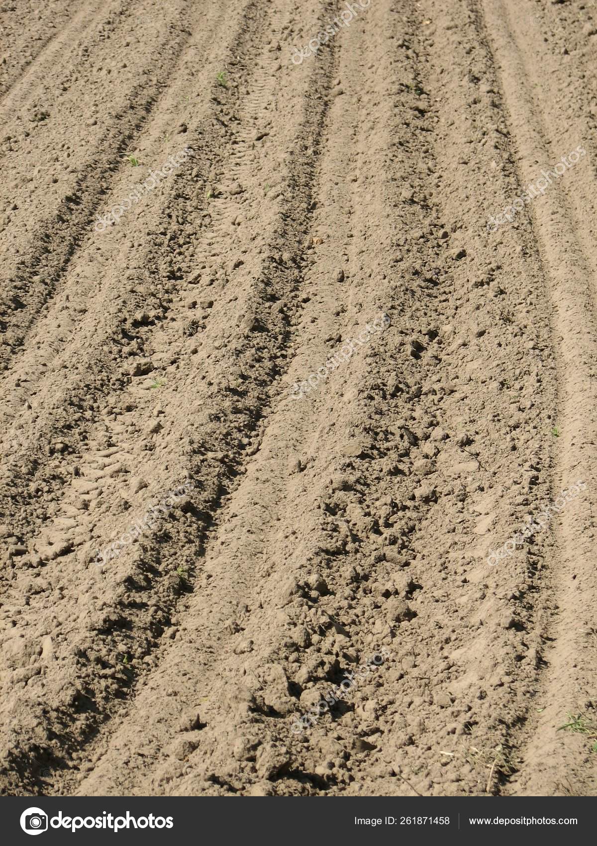 Tilled Field Usable Earth Sand Background Stock Photo by ©YAYImages ...