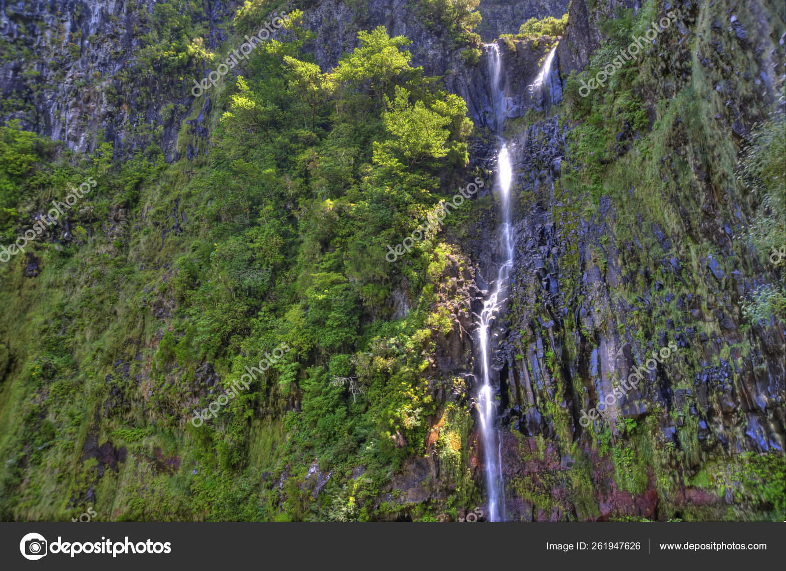 Scene Portugal Island Madeira Stock Photo by ©YAYImages 261947626