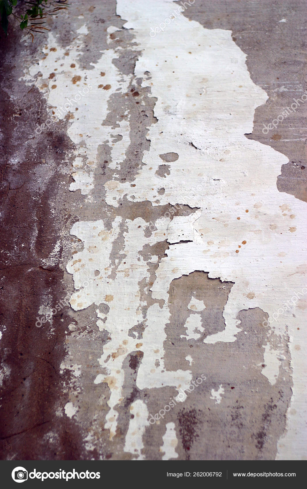 Full Screen High Resolution Shot Wall Stock Photo by ©YAYImages 262006792