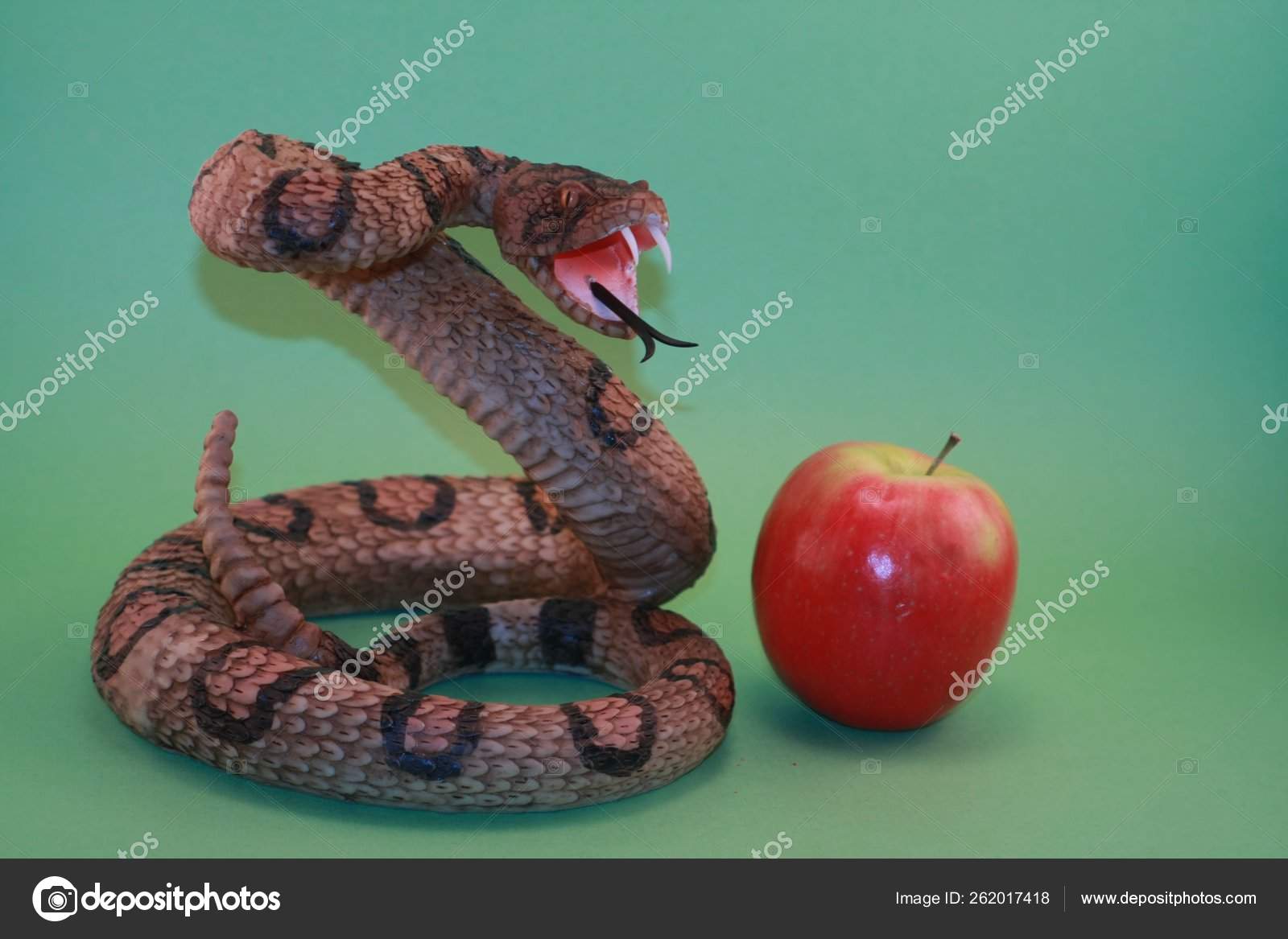 Snake Looking Bite Red Apple Symbolic Adam Eve Bible Story Stock Photo ...