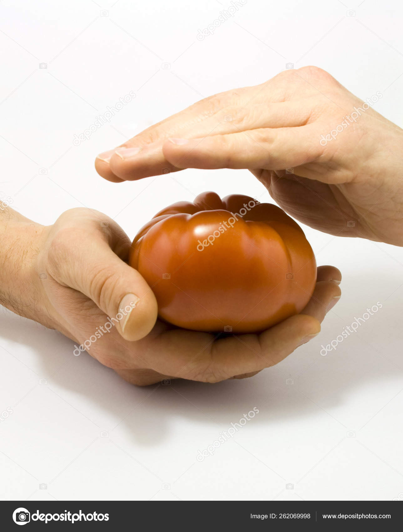 Human Hand Tomato Isolated White Stock Photo by ©YAYImages 262069998