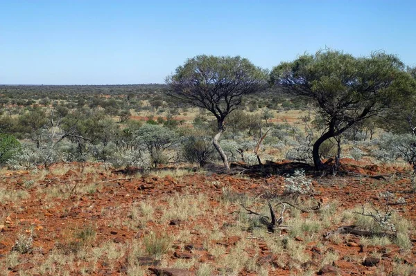Landscape of the Australian bush — Stock Photo © Gilles_Paire #19384997