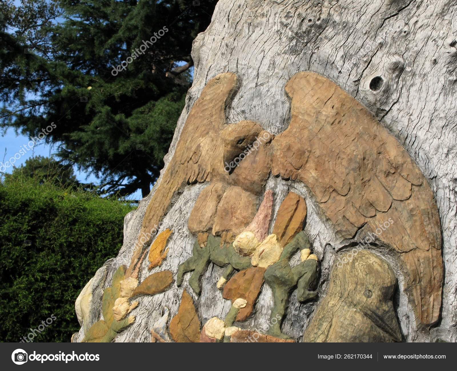 Tree Bark Closeup Fitzroy Gardens Melbourne Australia Stock Photo by ...