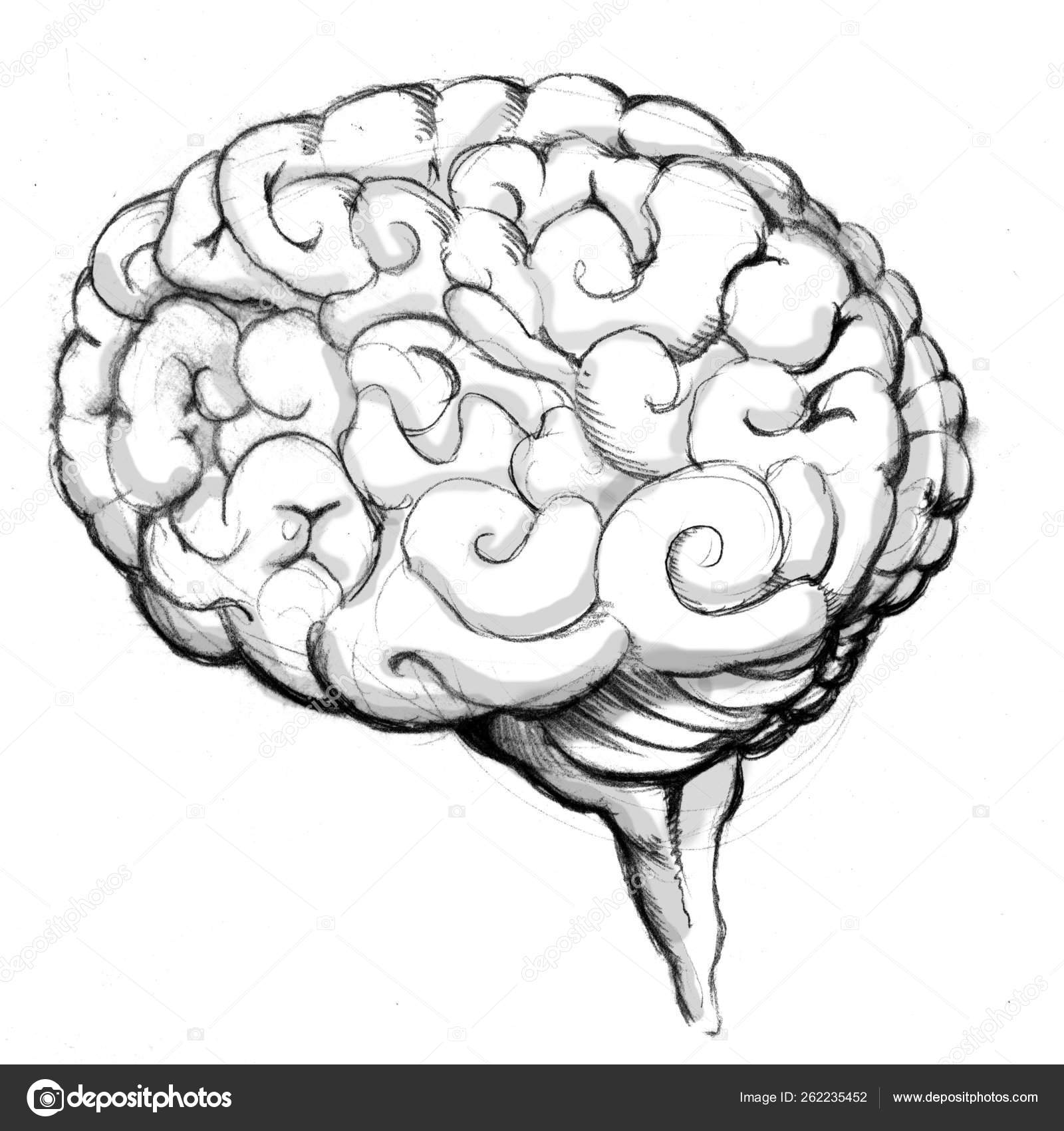 Brain Exploding Drawing