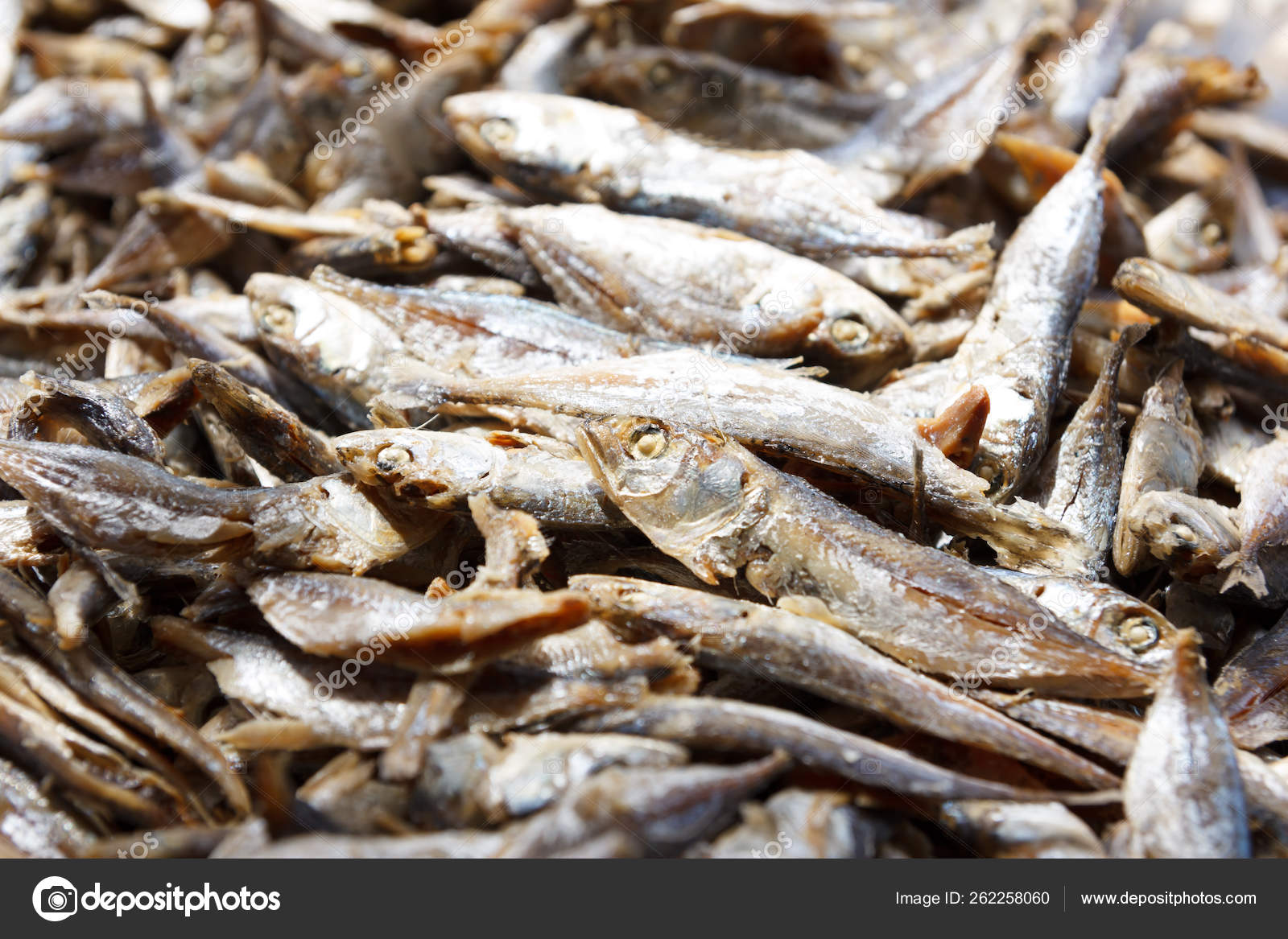 Small Dry Mackerel Fish — Stock Photo © YAYImages #262258060