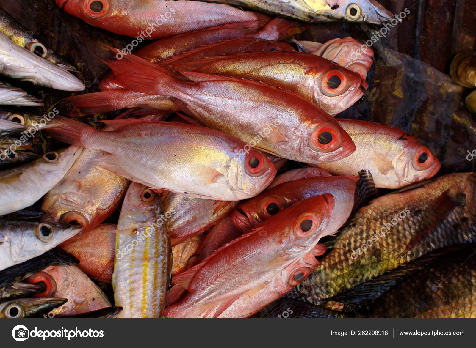Red Bigeye Fish Display Philippine Market Stall Stock Photo by ...