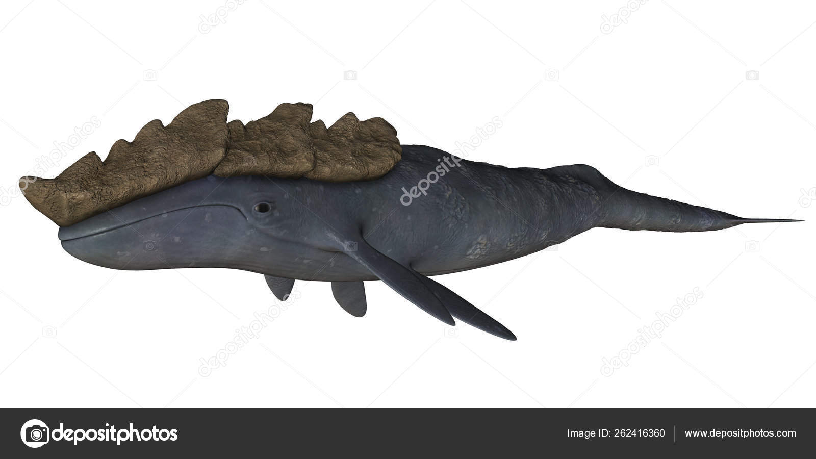 Rendered Leviathan White Background Isolated Stock Photo by ©YAYImages ...