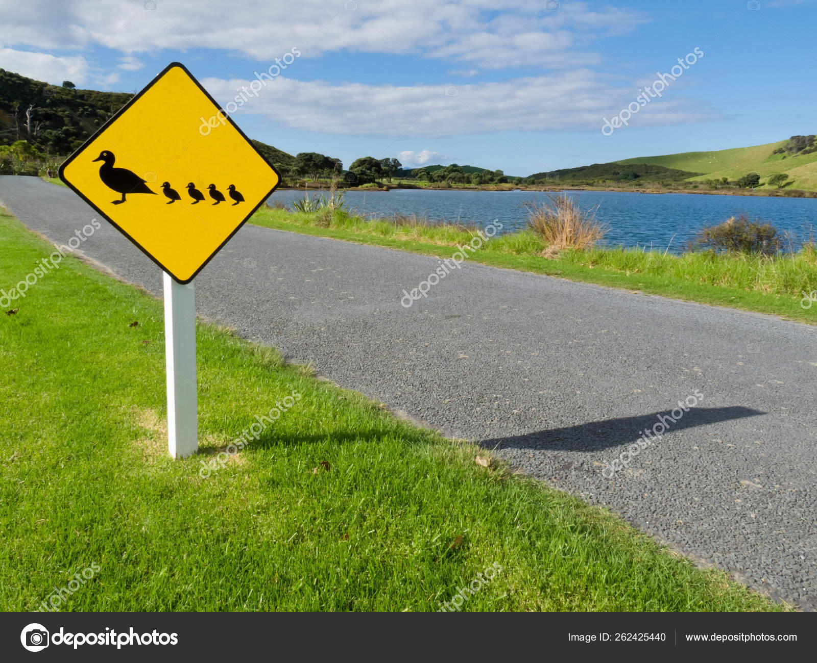Road Sign Warning Watch Out Ducks Ducklings Crossing Road Alongside ...