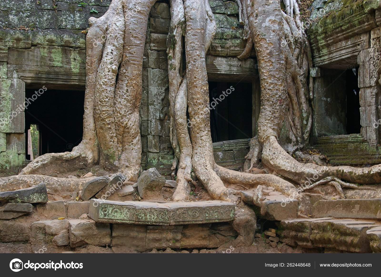Bayon Tree Growing Bayon Temple Angkor Thom Angkor Cambodia Location ...