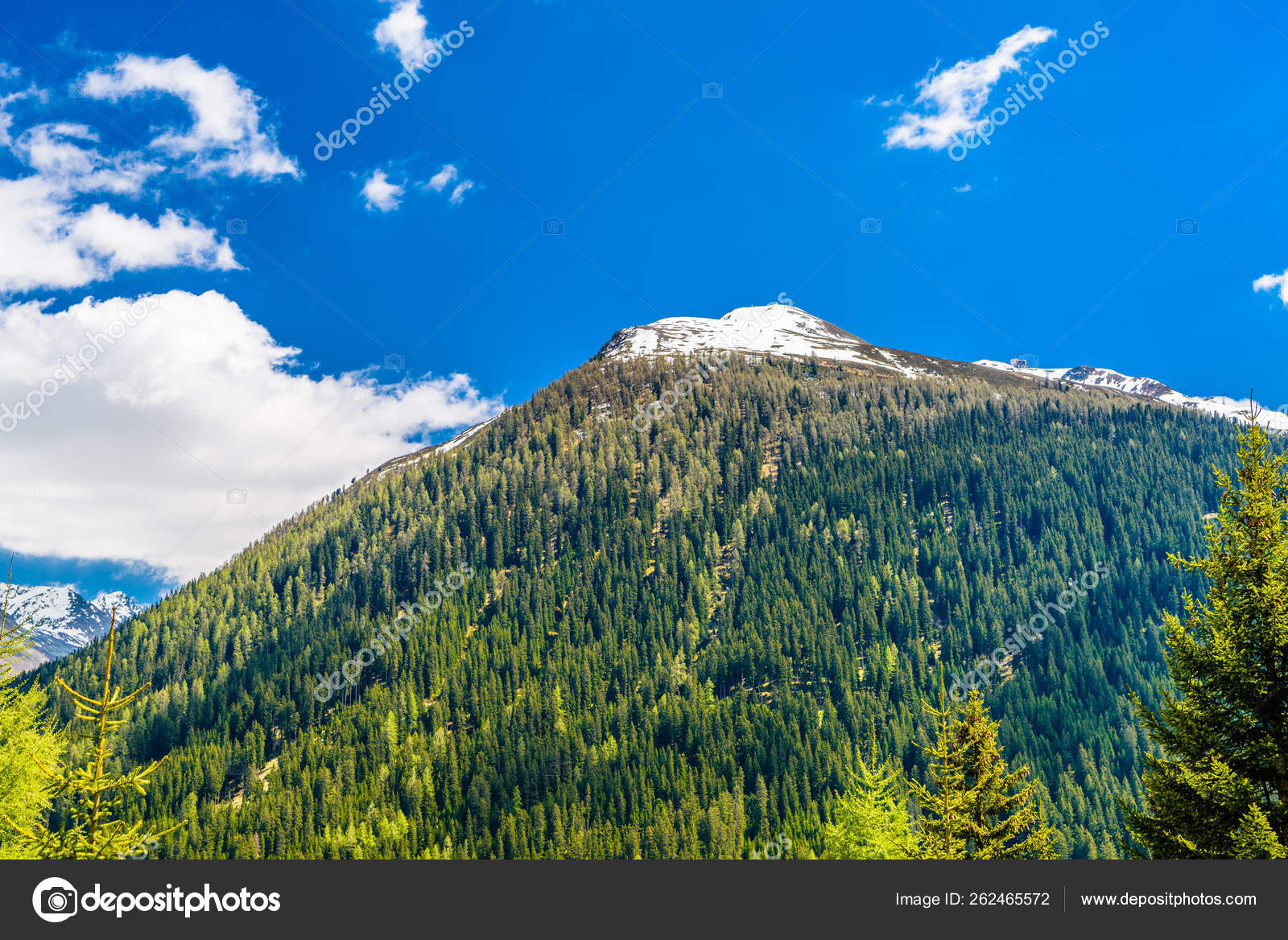 Alps Mountains Covered Pine Forest Davos Graubuenden Switzerland ...