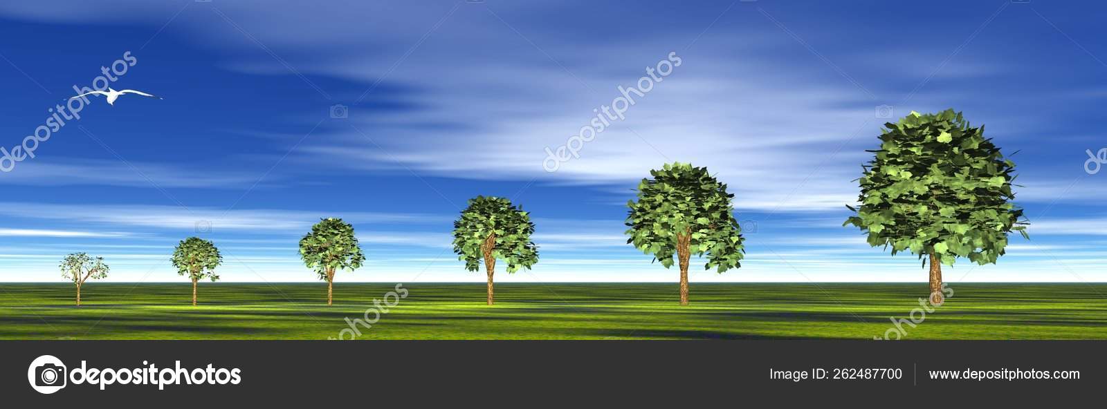 Big Tree Little Tree Backgrounds