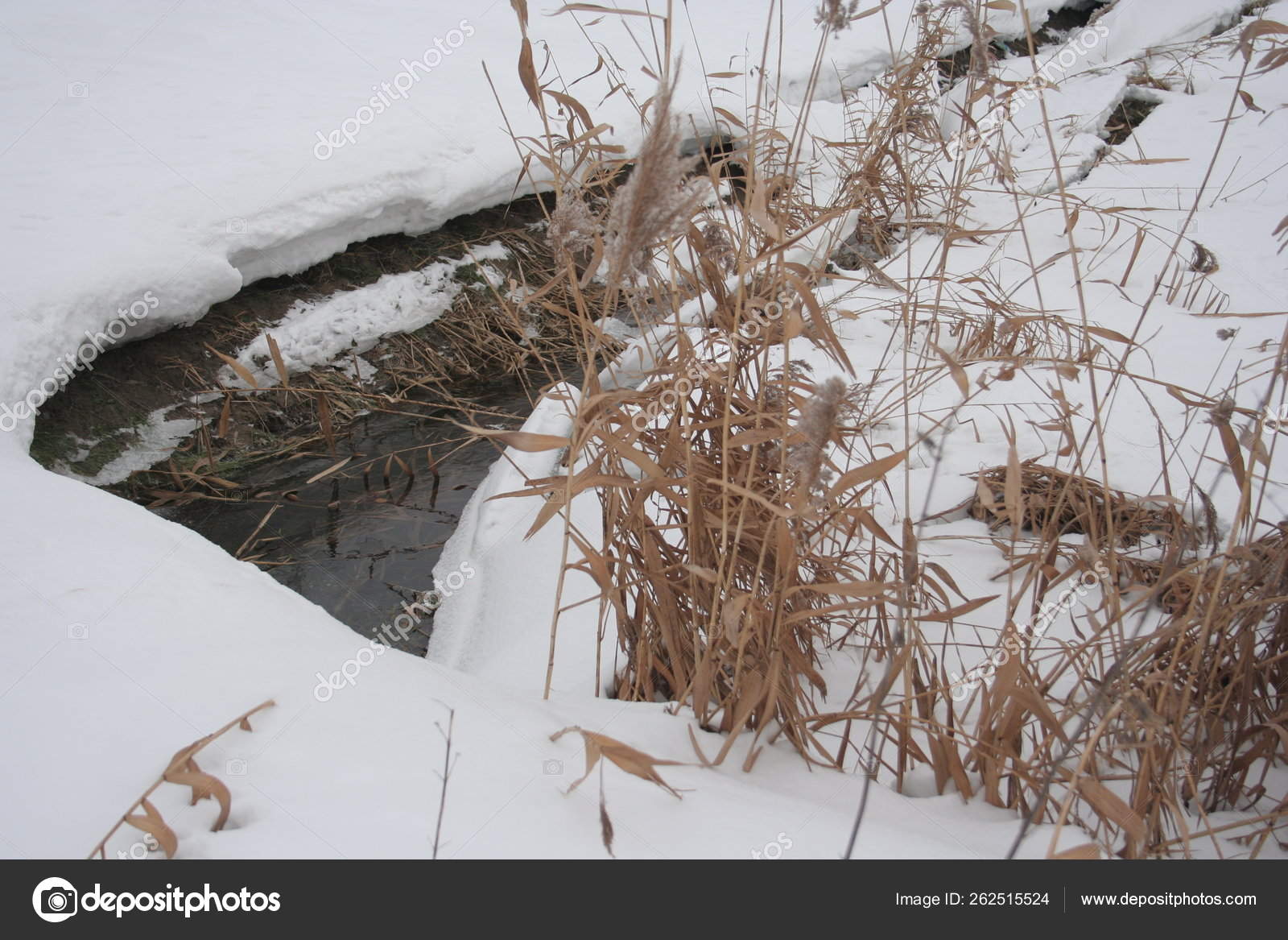 Brooklet Winter Stock Photo by ©YAYImages 262515524