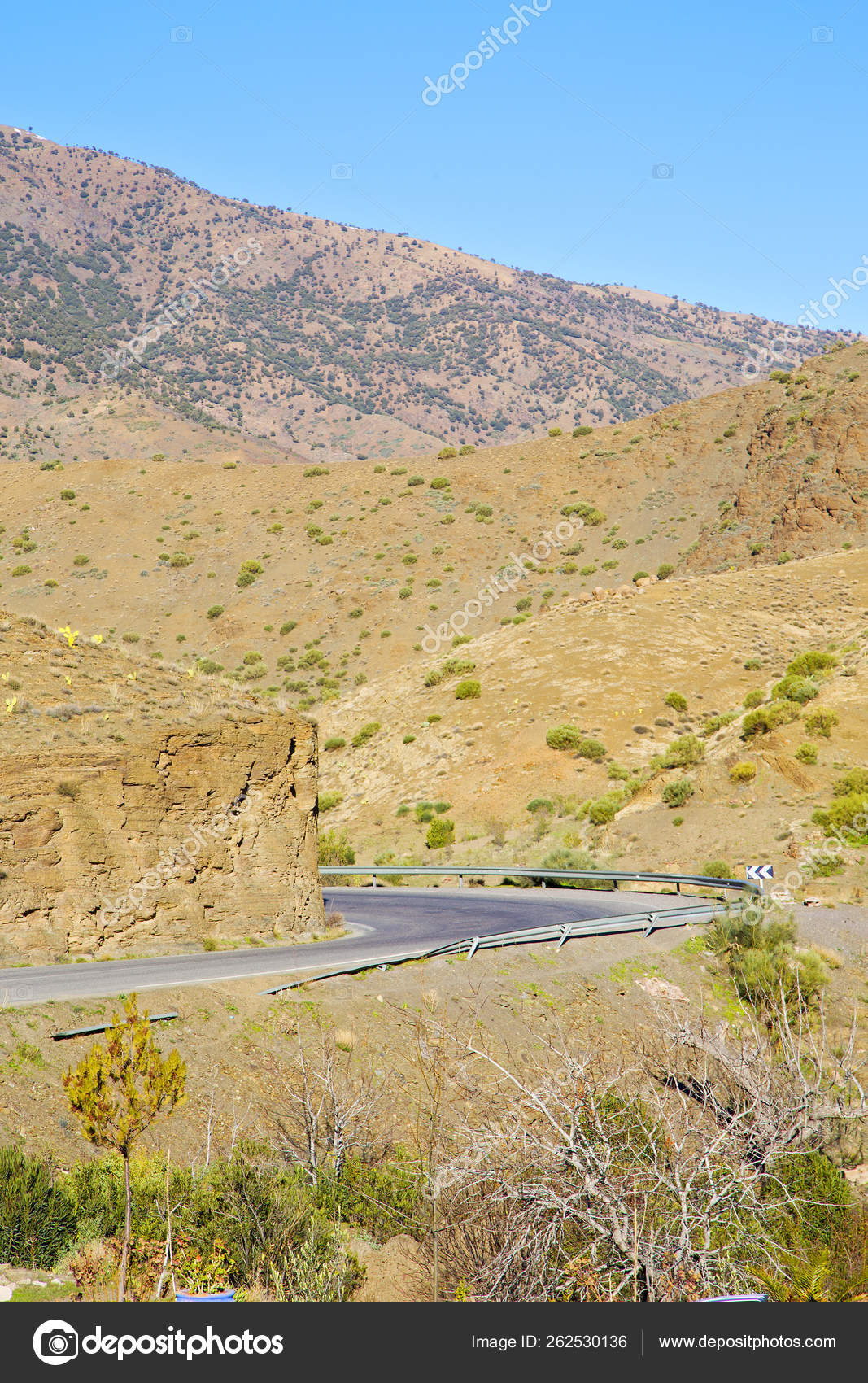 Ground Africa Morocco Bush Dry Atlas Mountain Stock Photo by ©YAYImages ...
