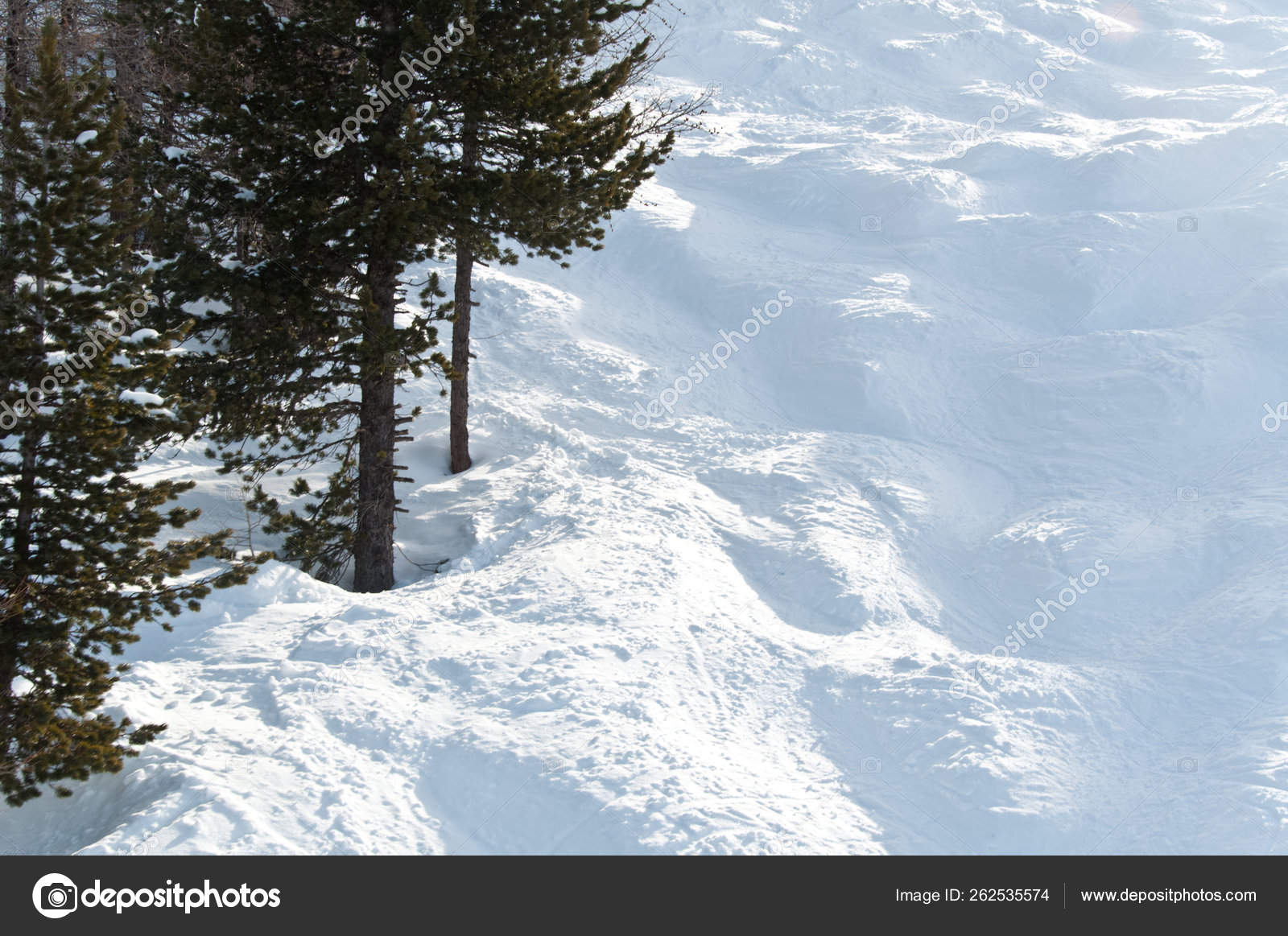 Mogul Slope Trees One Side Stock Photo by ©YAYImages 262535574