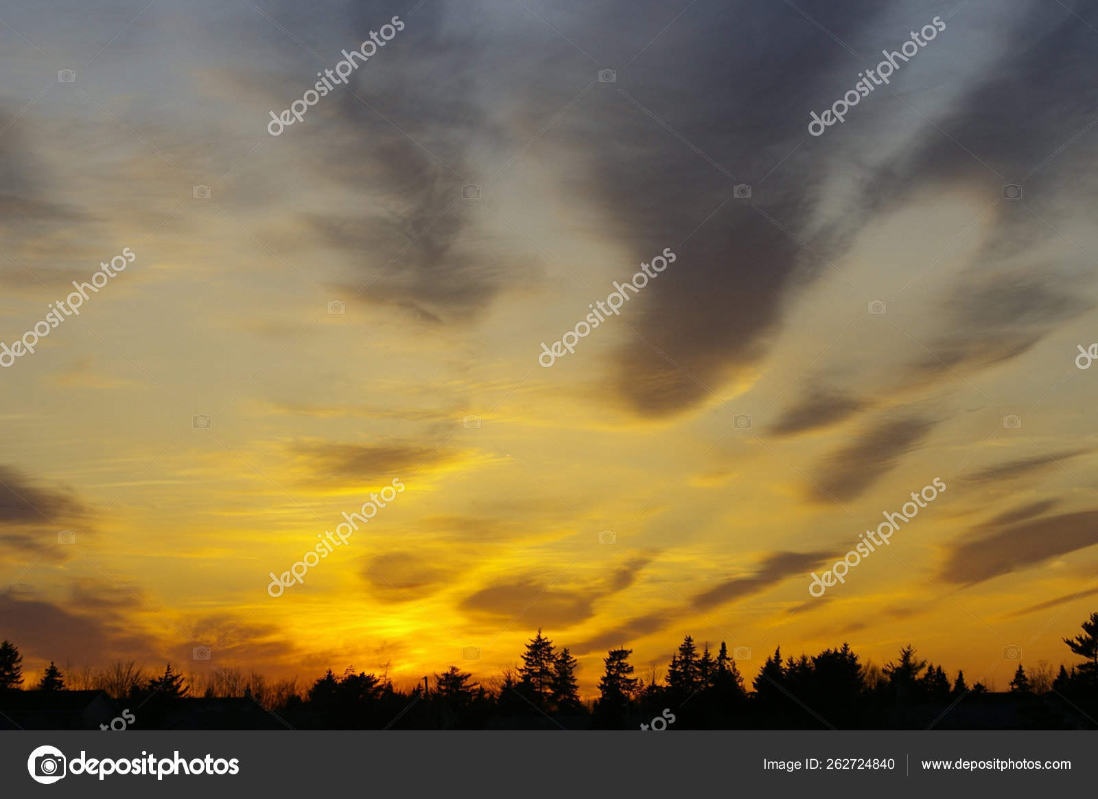 Colourful Sunset Trees Horizon Stock Photo by ©YAYImages 262724840