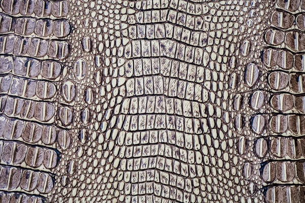 Seamless Natural Crocodile Skin Texture Stock Photo by ©YAYImages 257914042