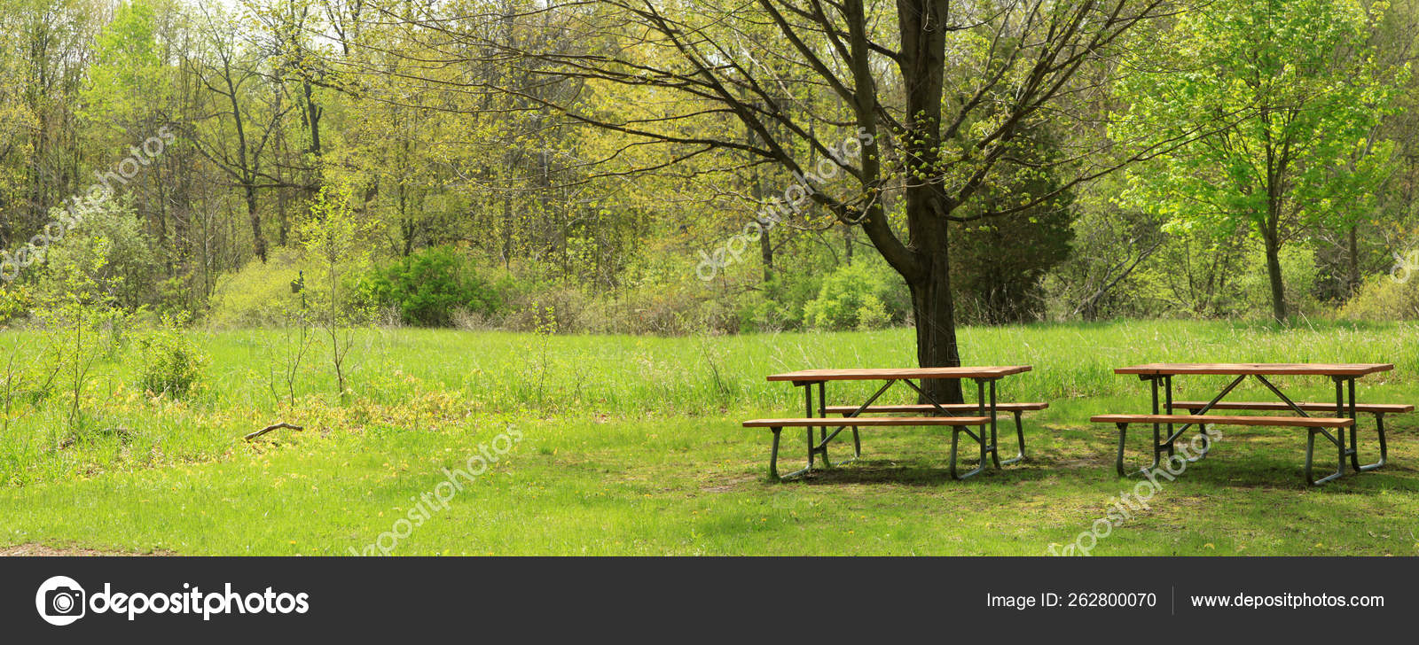 Panoramic View Lush Green Park Picnic Tables Stock Photo by ©YAYImages ...