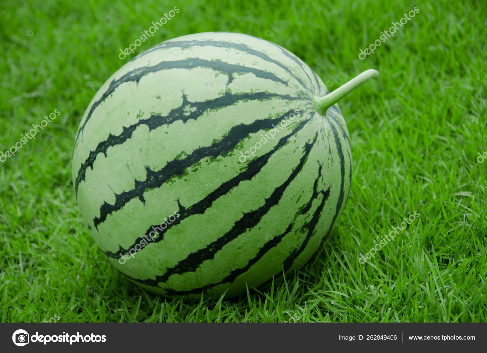 Watermelon Skin Background