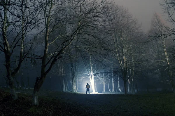 strange silhouette in a dark spooky forest at night, mystical landscape ...