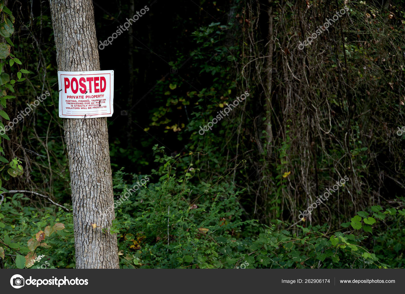 Posted Sign Tree Obscure Area Stock Photo by ©YAYImages 262906174