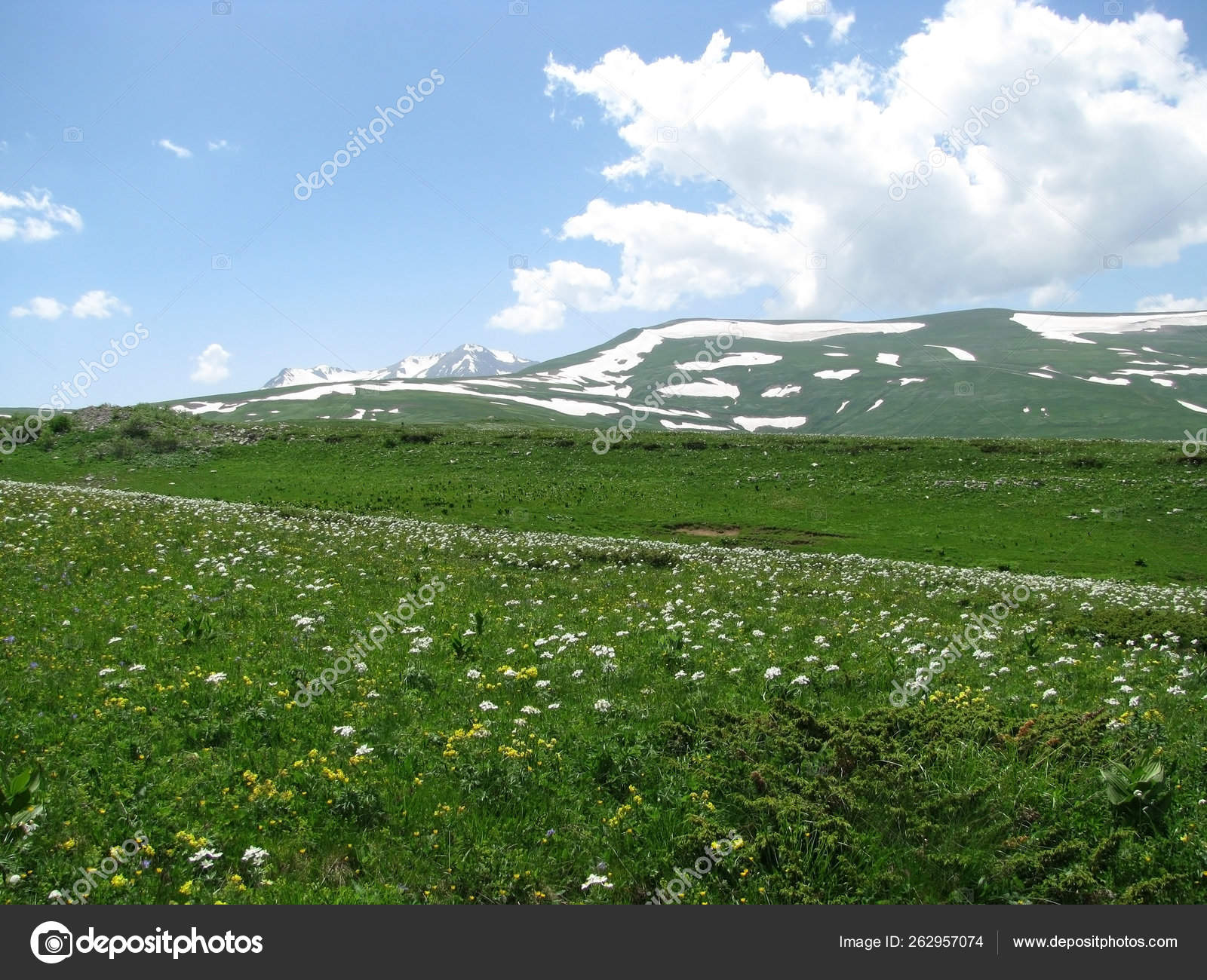Europe Russia Flora Alpine Meadows Vegetation Distance Summer Greens ...