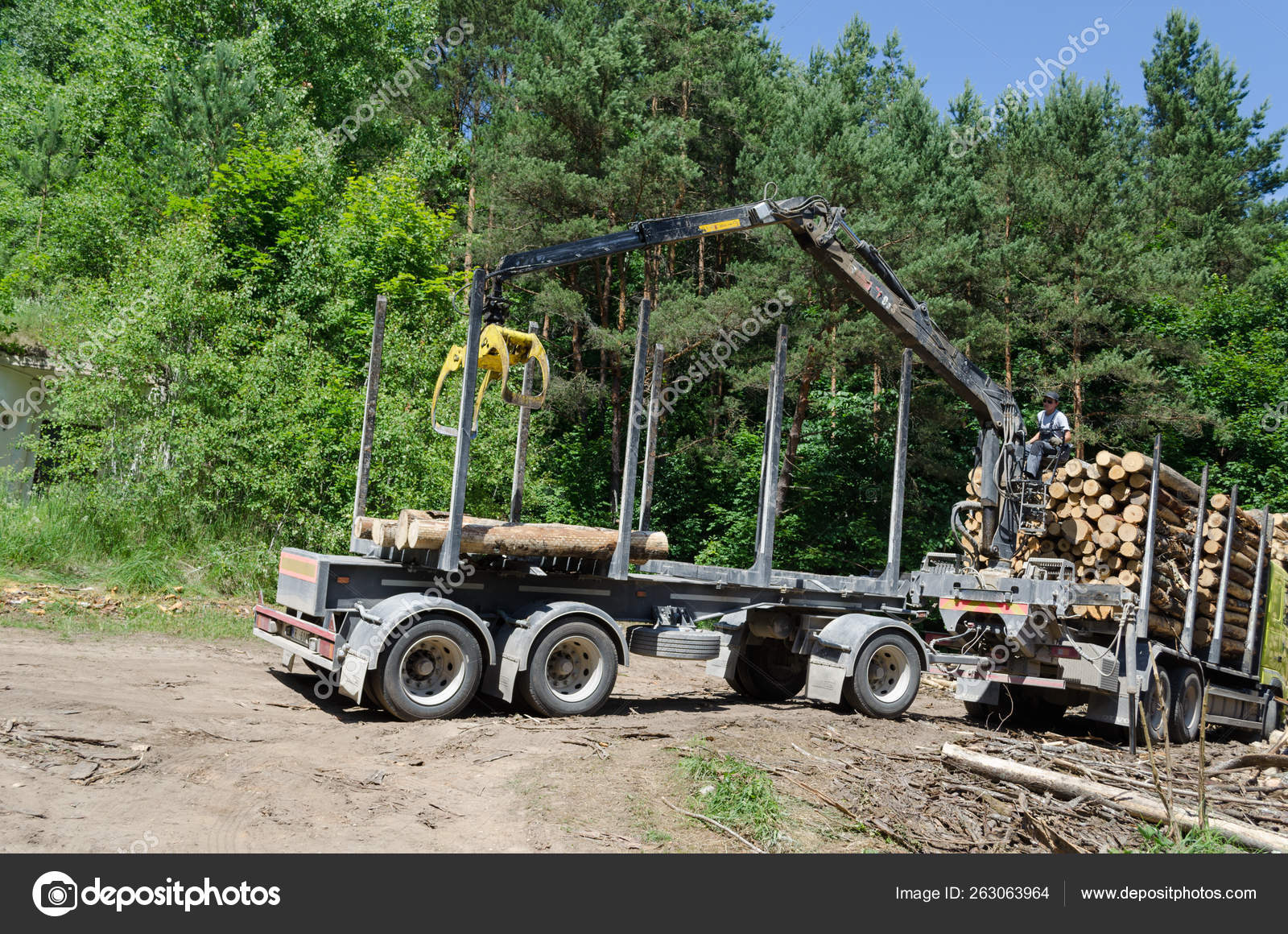 Worker Man Load Felled Tree Logs Timber Crane Heavy Truck — Stock Photo ...
