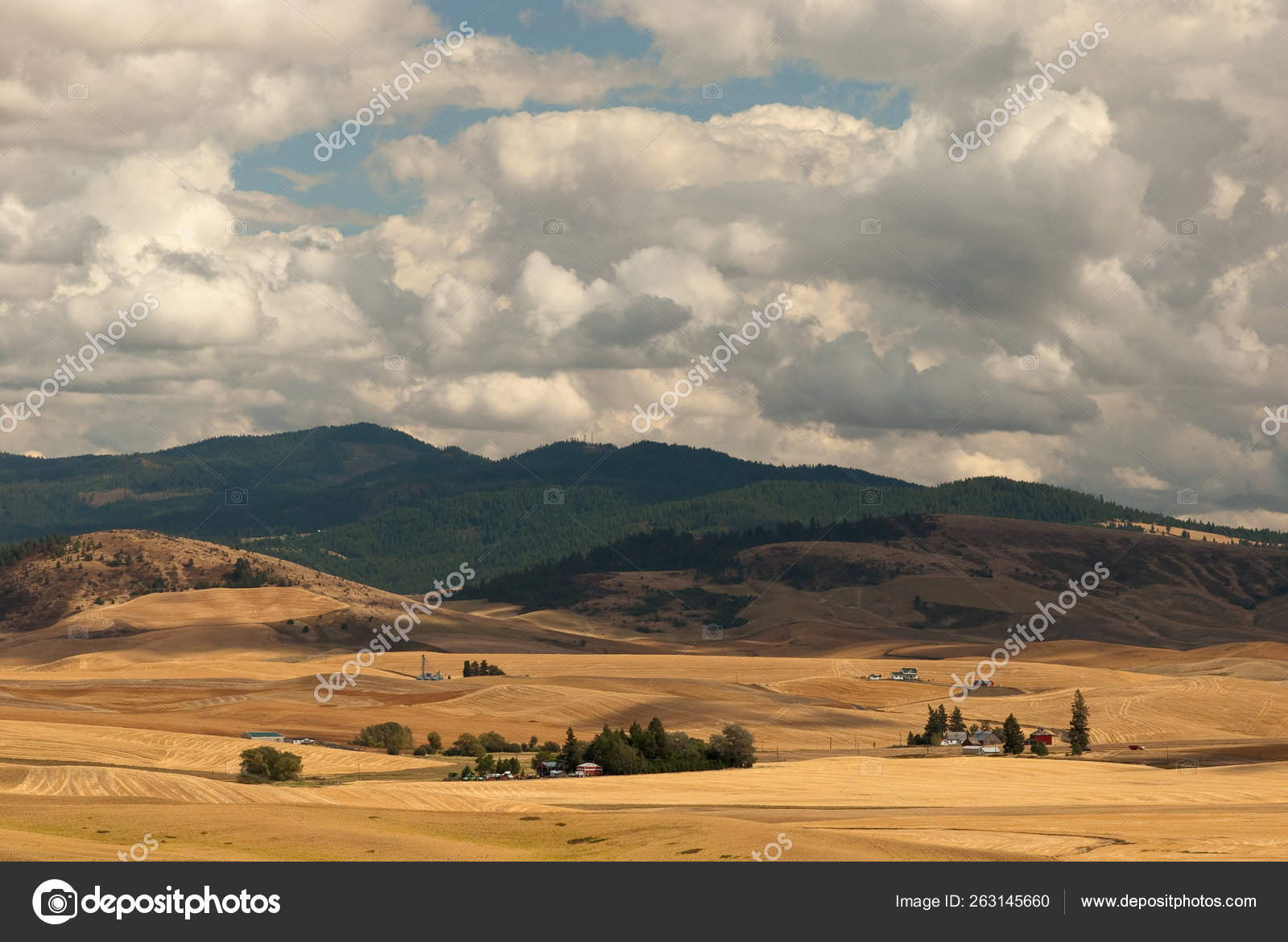 Farms Harvested Fields Palouse Range Whitman County Washington Latah ...